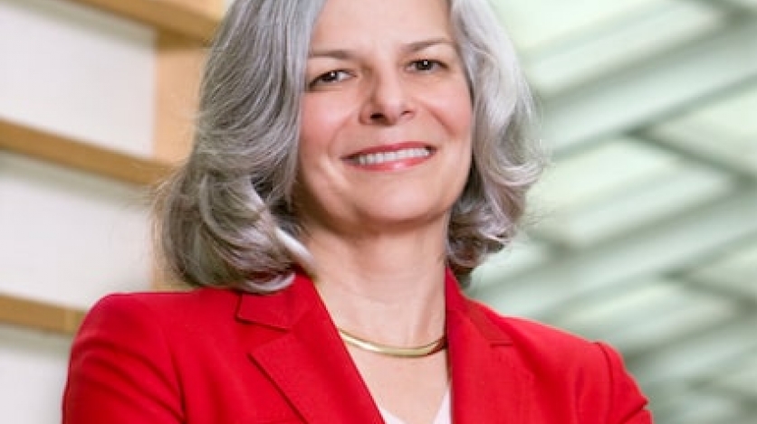 Building Health System Resilience in the Americas: A Conversation with ...