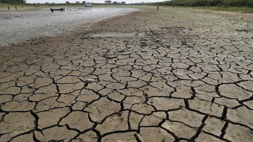 Record Droughts Plague Latin America | AS/COA