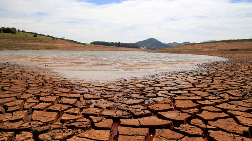 Brazil Update: Five Points to Know about the Historic Drought | AS/COA