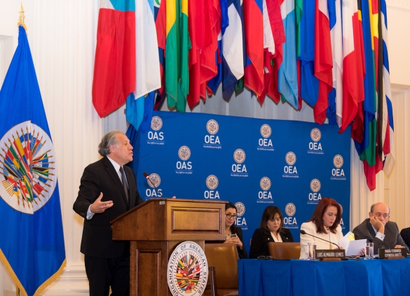 Explainer: What Is the OAS? | AS/COA